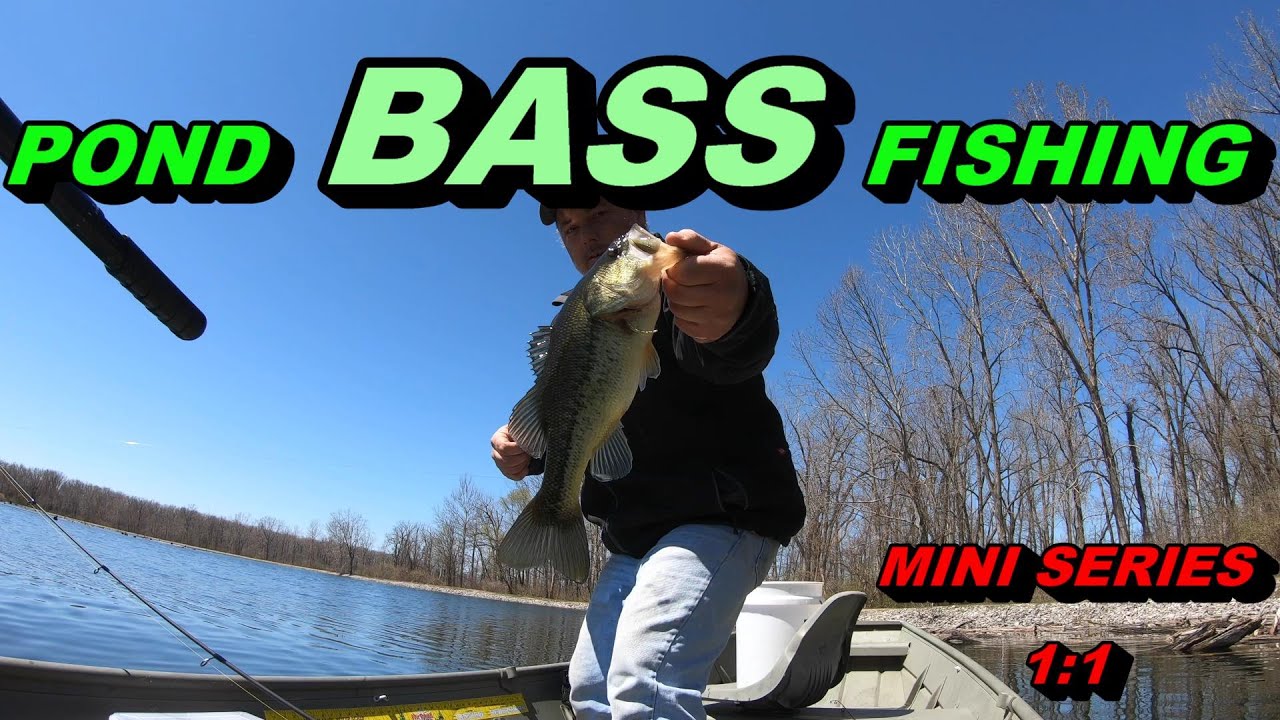 Pond Fishing For Largemouth Bass APR 20TH 2020 - YouTube