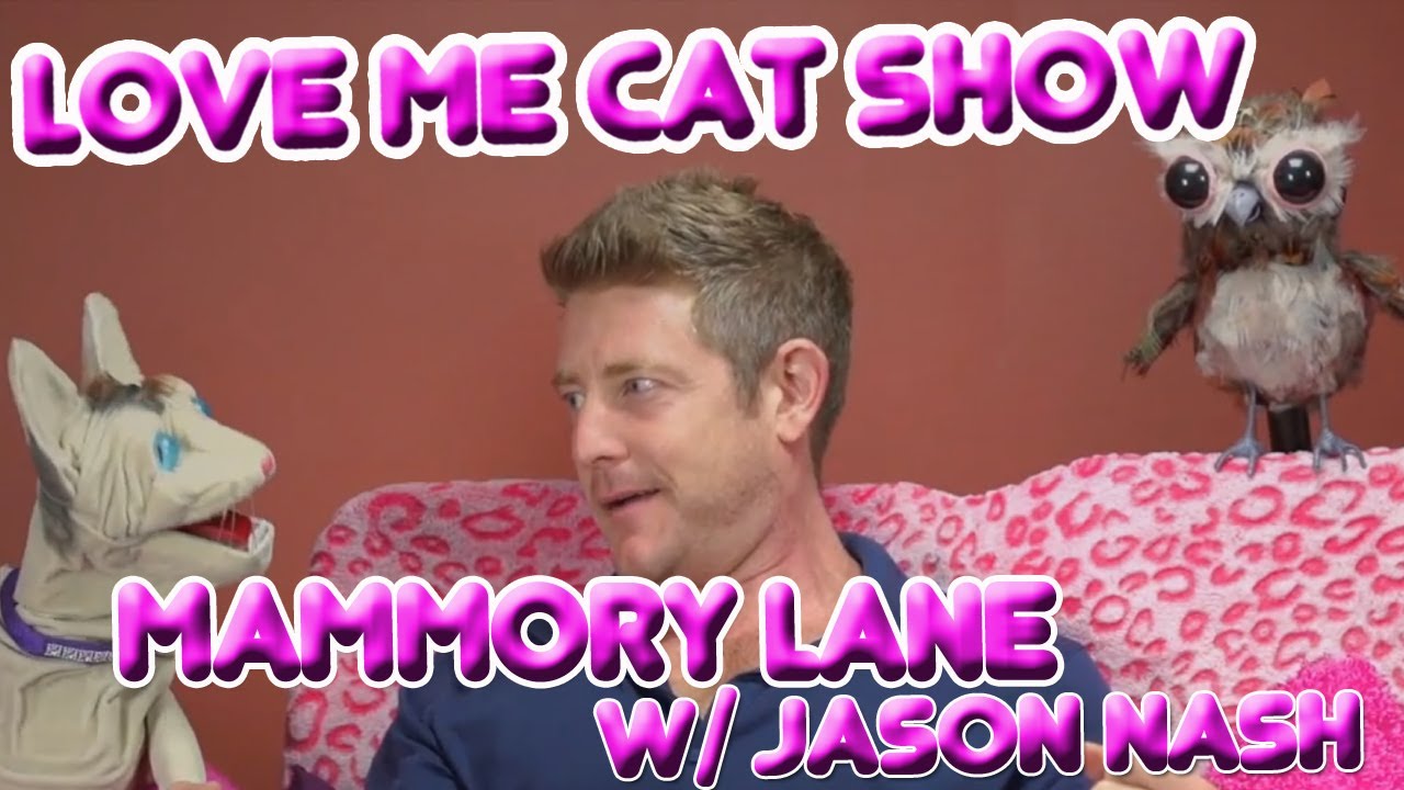 The Love Me Cat Show - Mammory Lane with Jason Nash - YouTube
