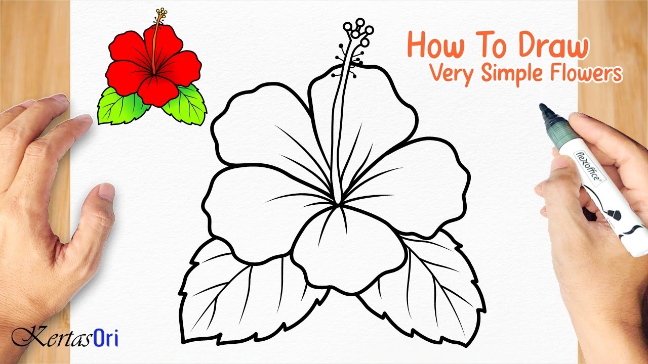 How To Draw Very Simple Flowers Step by Step | Easy Drawing Tutorial ...