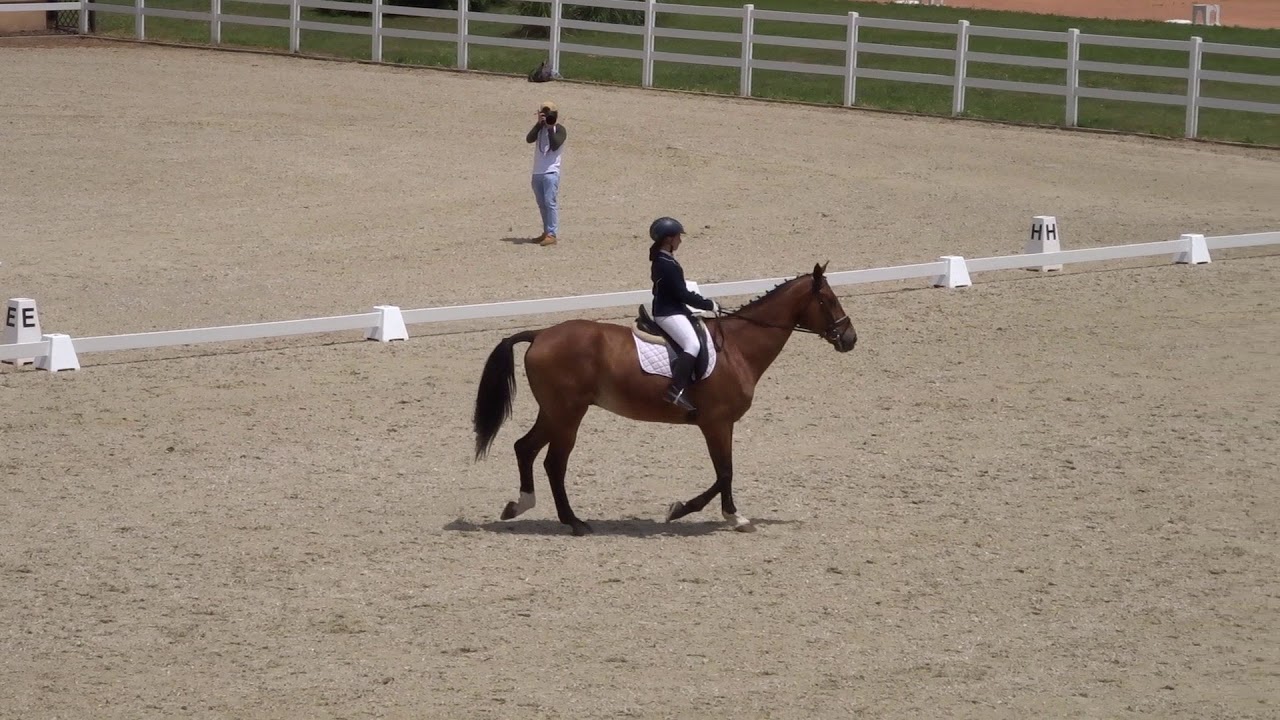 elena/choco - YouTube