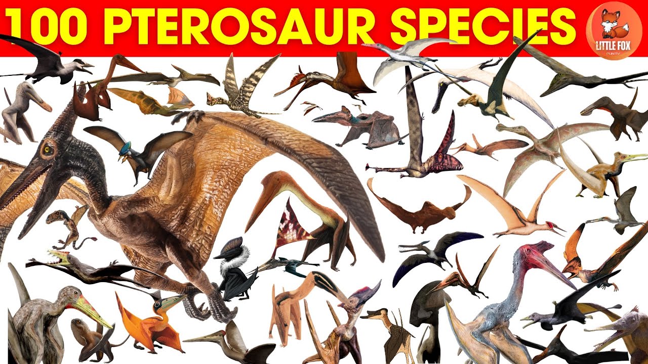Ancient Flyers| Learn 100+🦖 Pterosaur Species Names for Kids! 🦕 # ...