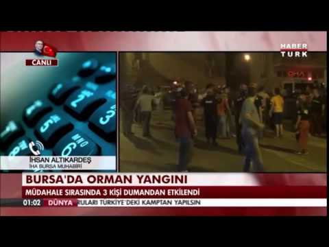 Bursa'da Orman Yangını