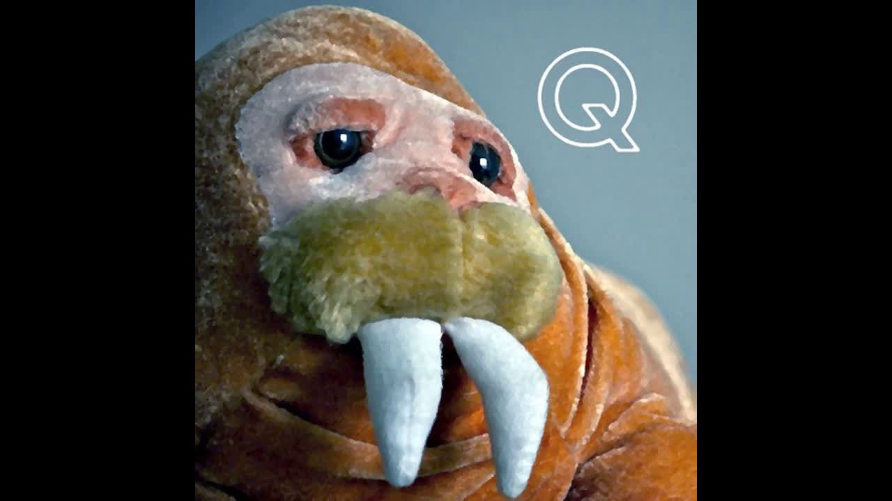 Q U A H - Sad Walrus - YouTube