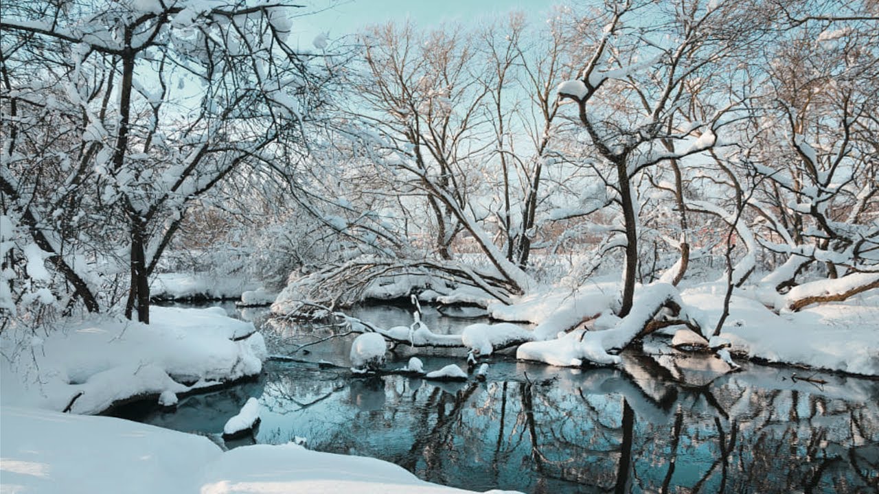 Beautiful Winter Snow Scene Relaxing Piano Music - Soothing Calming ...