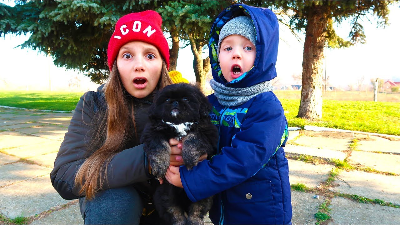 Irochka cu Andries au GASIT un CATELUS MIC - YouTube