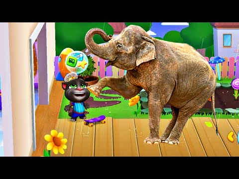 My Talking Tom and Friends#। talking Tom। Angela। Hank। Ginger। Ben and ...