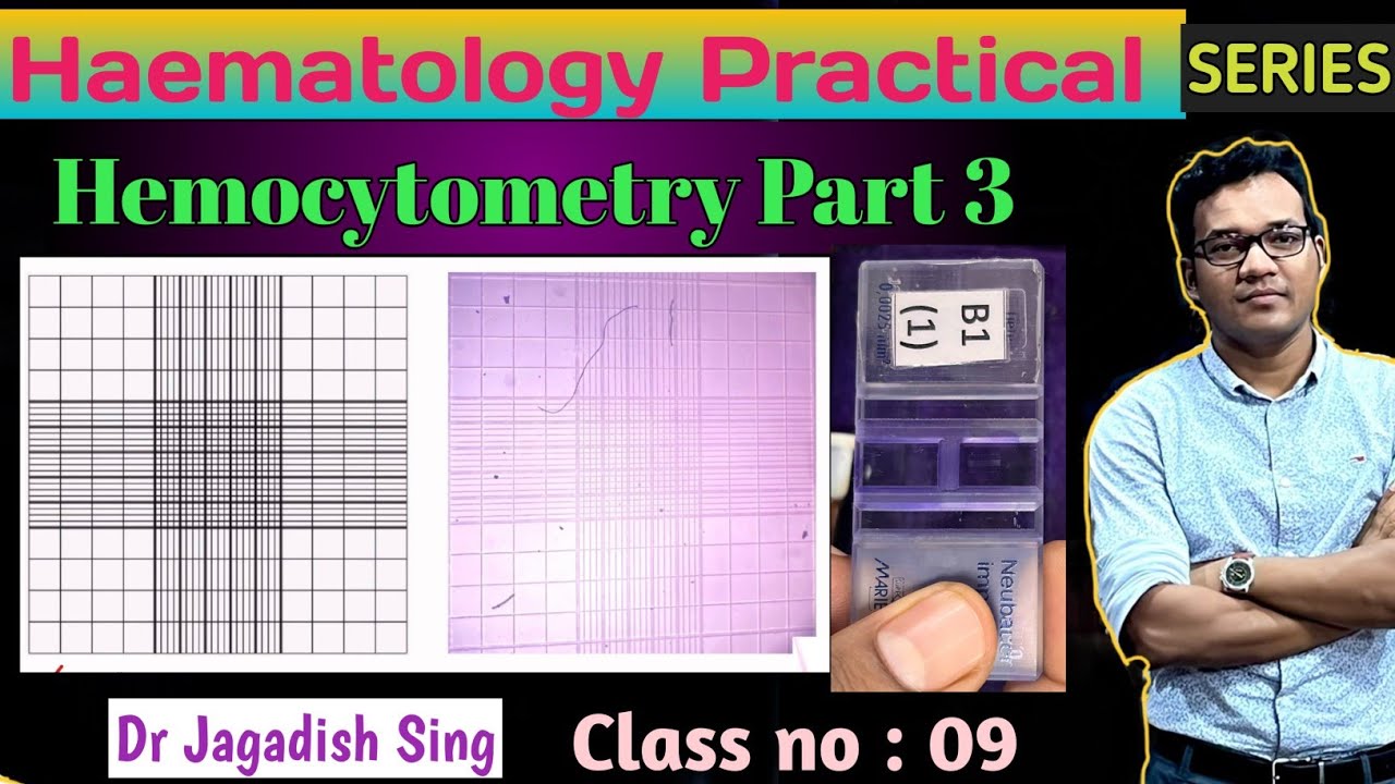 Haemocytometry Part 3. How to identify RBC & WBC Box. - YouTube