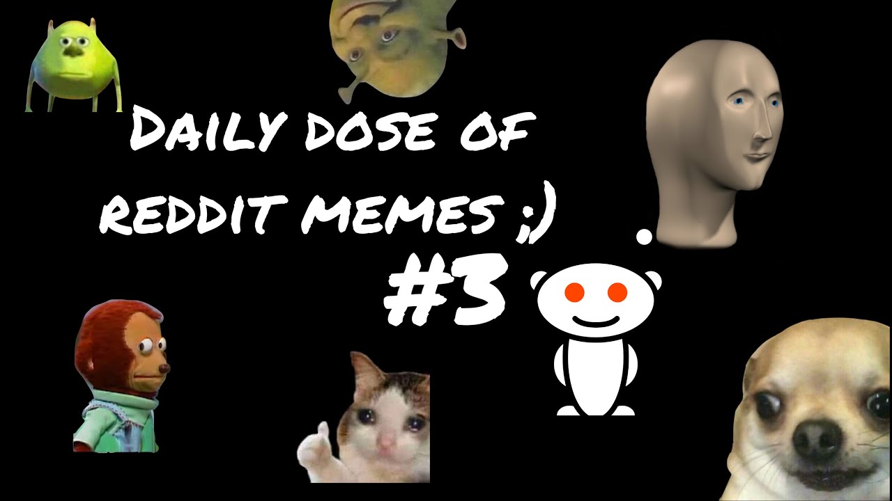 Daily Dose Of Reddit Memes #3|REDDIT MEMES - YouTube