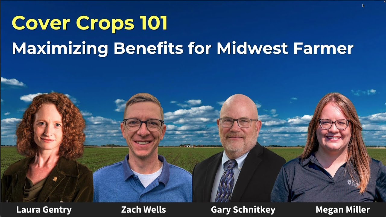 Cover Crops 101: Maximizing Benefits for Midwest Farmers - YouTube