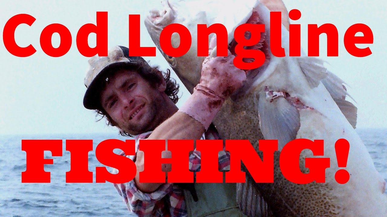 Cod longline fishing with Georgie B - YouTube