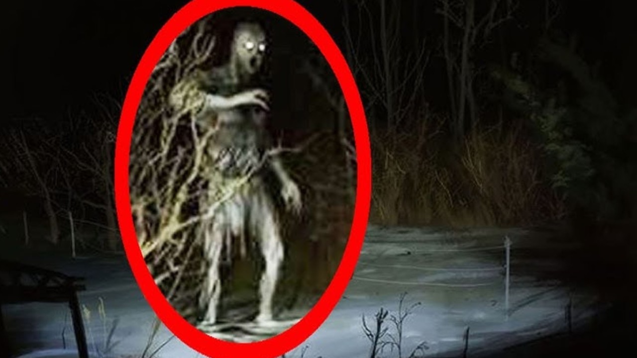 REAL Haunted Forests Where Ghosts Still Walk - YouTube