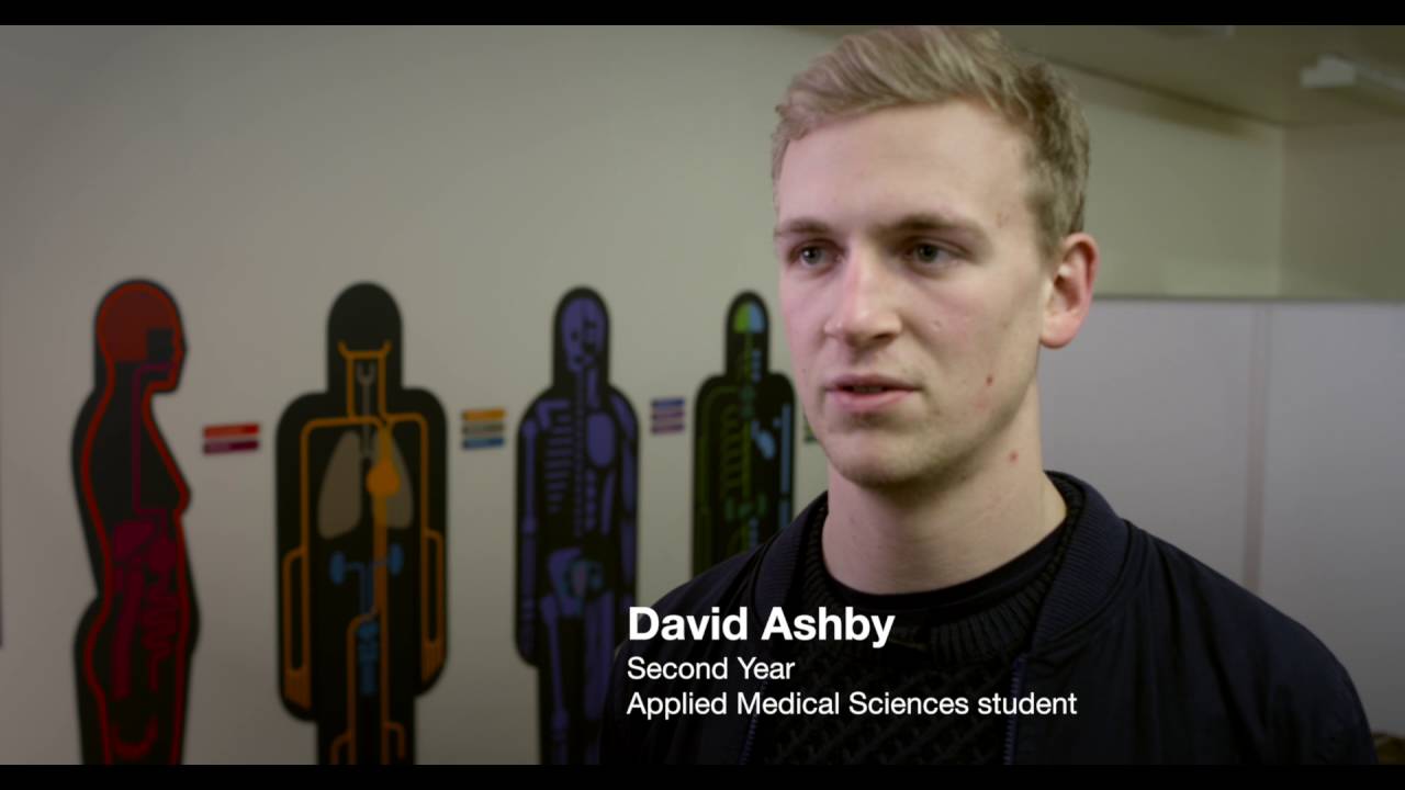 Applied Medical Sciences Degree at UCL London - Everything You Need to ...