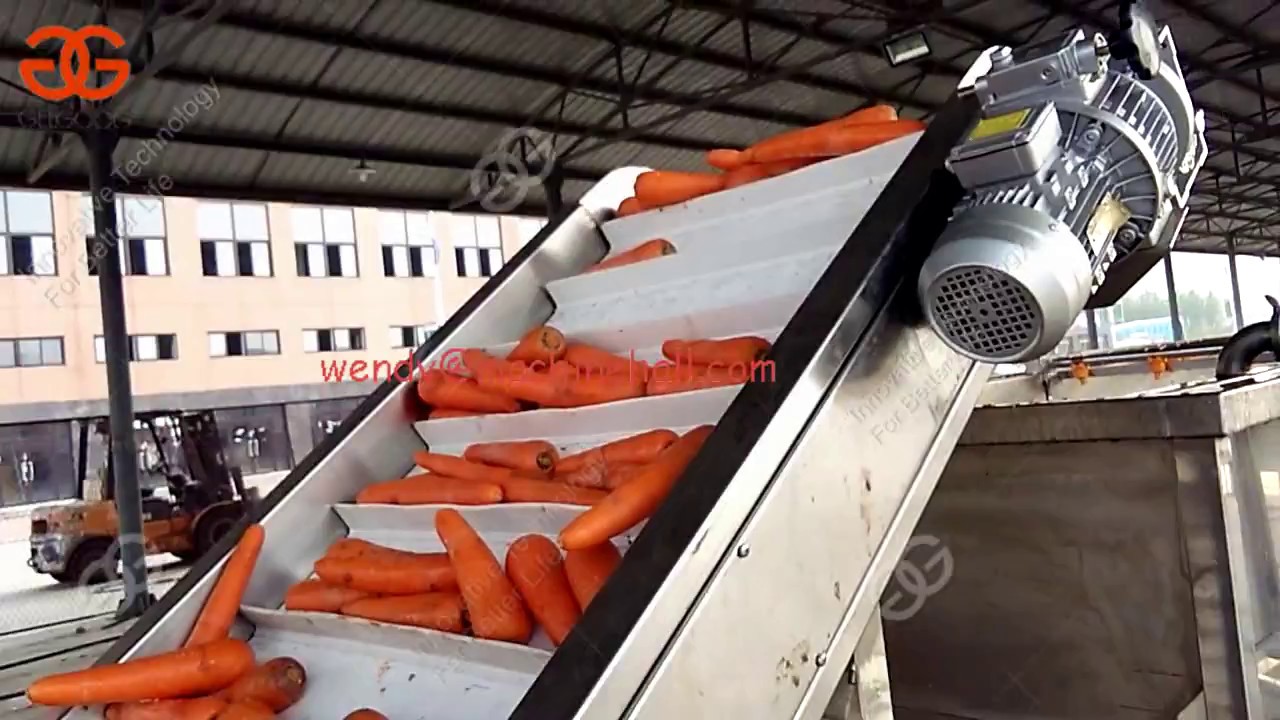 Carrot Washing Machine|fruit vegetable washing machine - YouTube