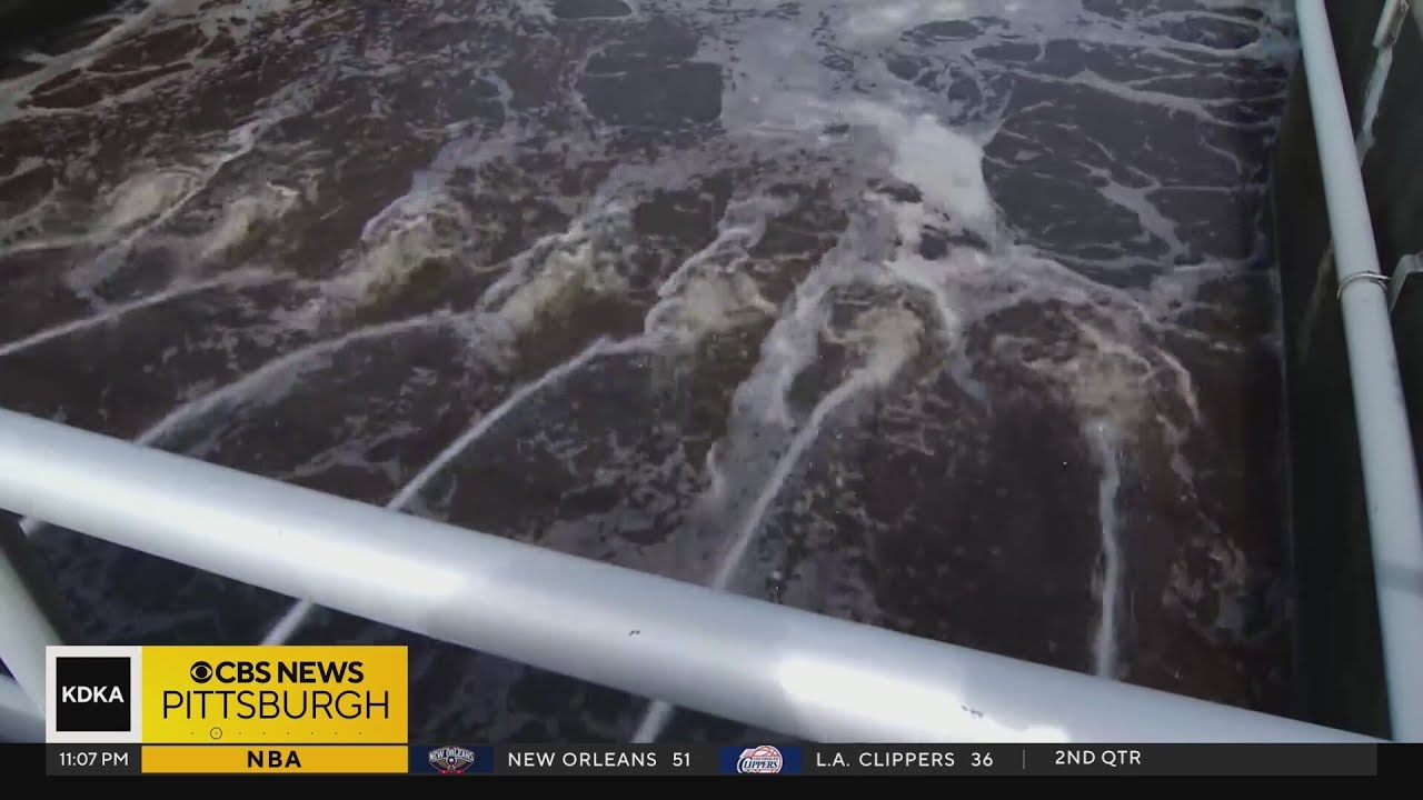 Study finds high levels of harmful chemicals in rivers - YouTube