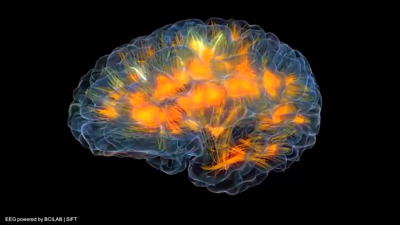 Actividad Cerebral A Tiempo Real Youtube