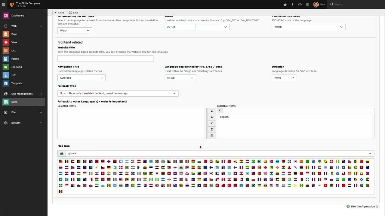 Multilanguage Setup And Localization Typo3 Editors Guide Youtube