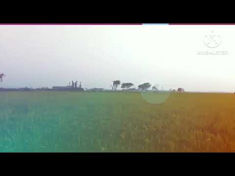 🌹My first short video YouTube ❤️2023/short video | ramda ss vlog