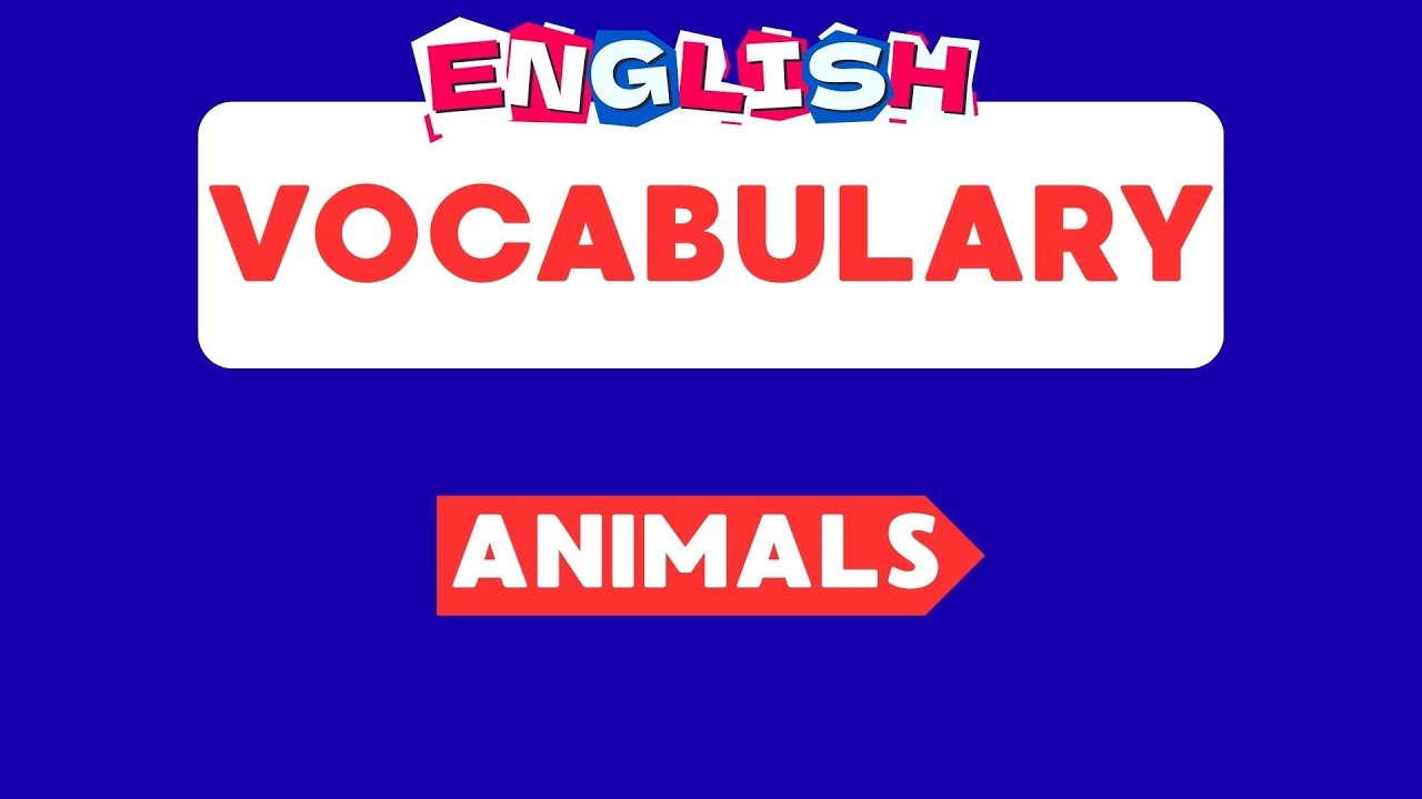 Learn English Vocabulary ANIMALS Level A1 Smiles 1# ...