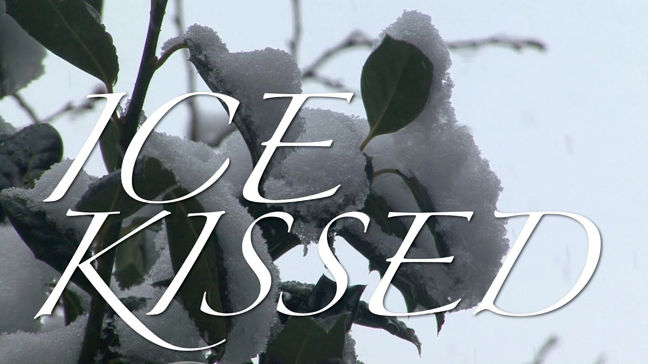 Ice-Kissed a film by Cooper.Erickson Productions (Huge snow storm in NC ...