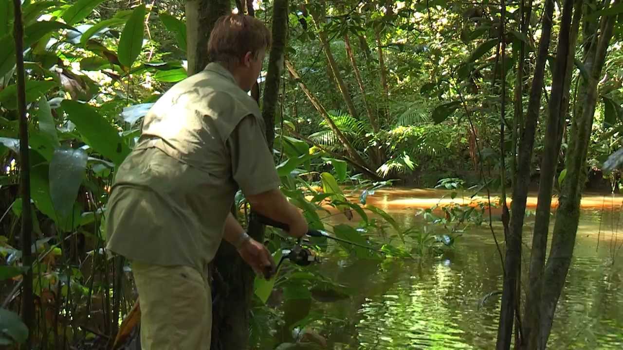 Real Adventure with Tomahawk: Amazonia Part 2 - YouTube