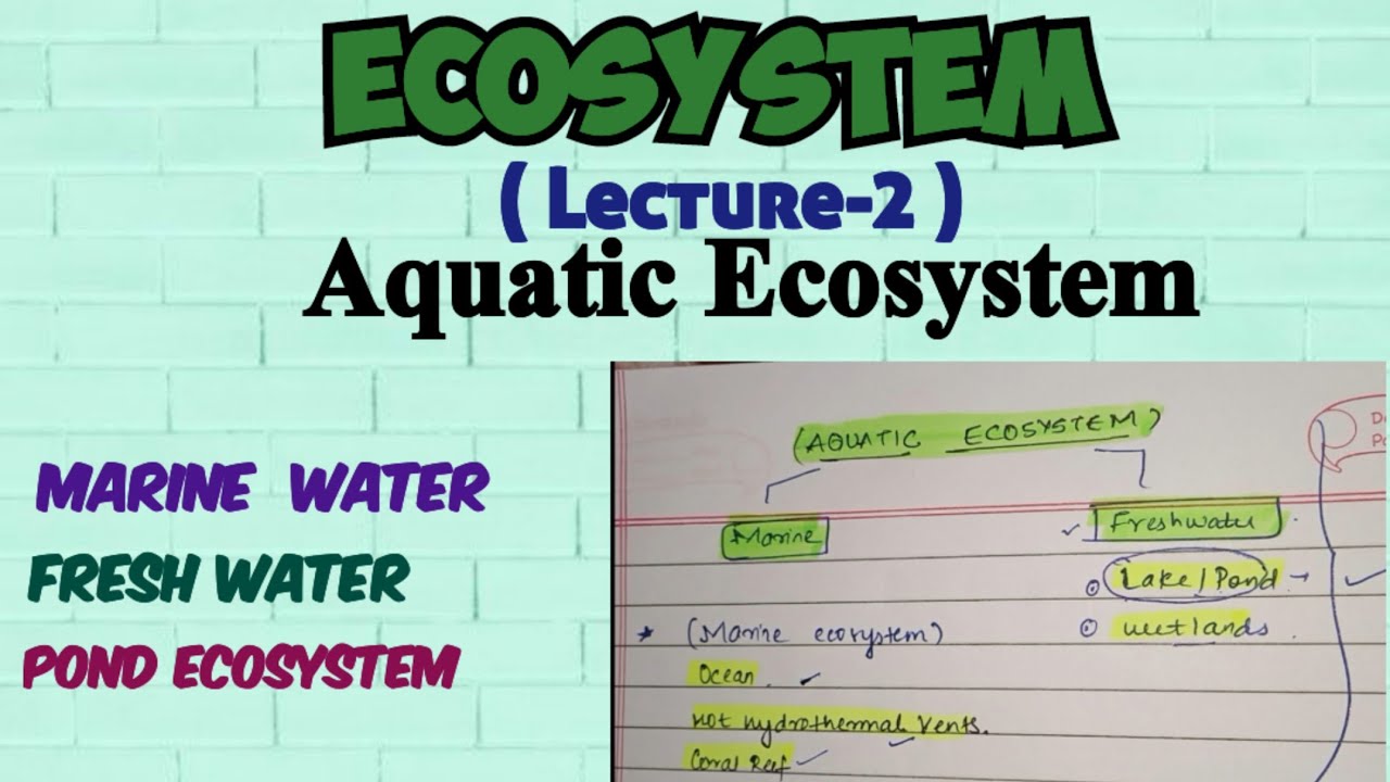 Ecosystem Part-2|| Aquatic Ecosystem|| Structure and Components of Pond ...