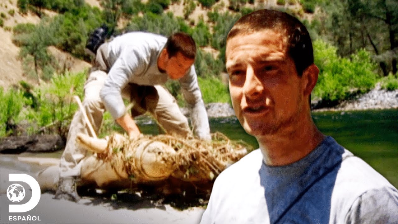 Construyendo una balsa con solo 5 maderos y una enredadera | A Prueba ...