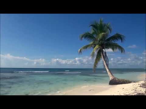Yedi Karanfil   Yemen Türküsü