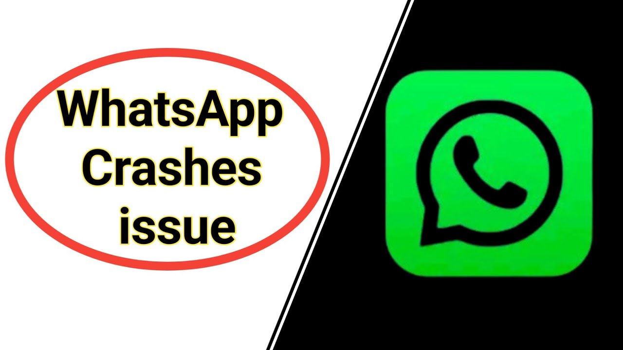 how to fix WhatsApp crashes issue ! - YouTube