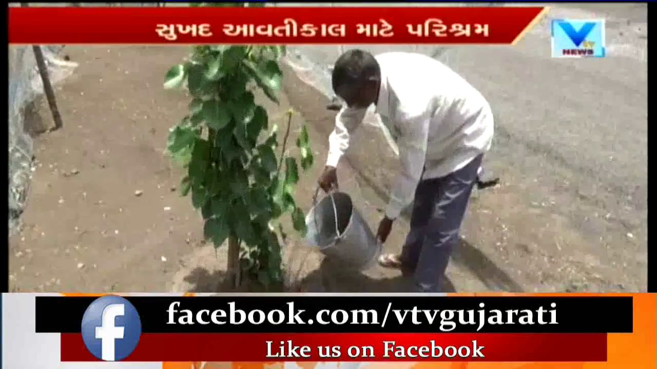 World Environment Day: Ratilal Khalasi Working Hard to grow Trees on ...