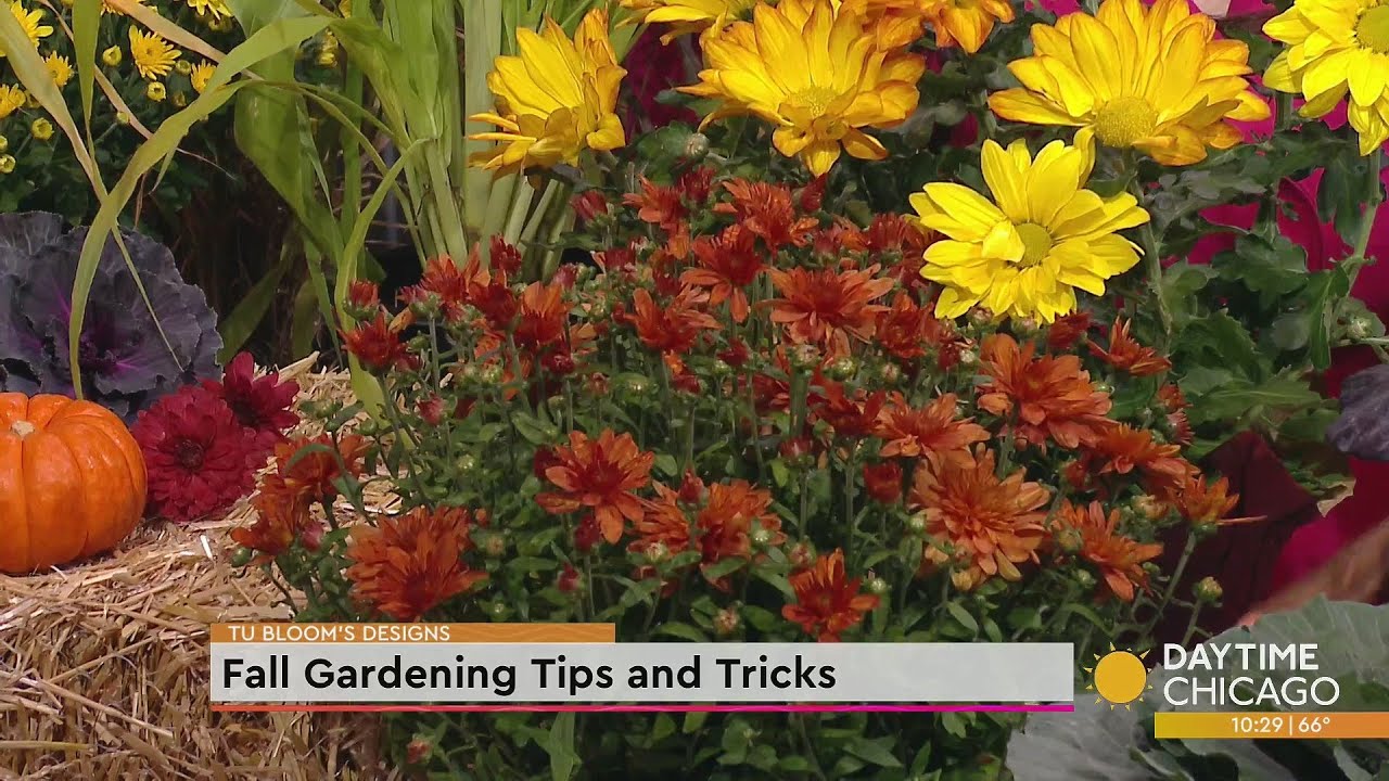 Fall Gardening Tips and Tricks - YouTube
