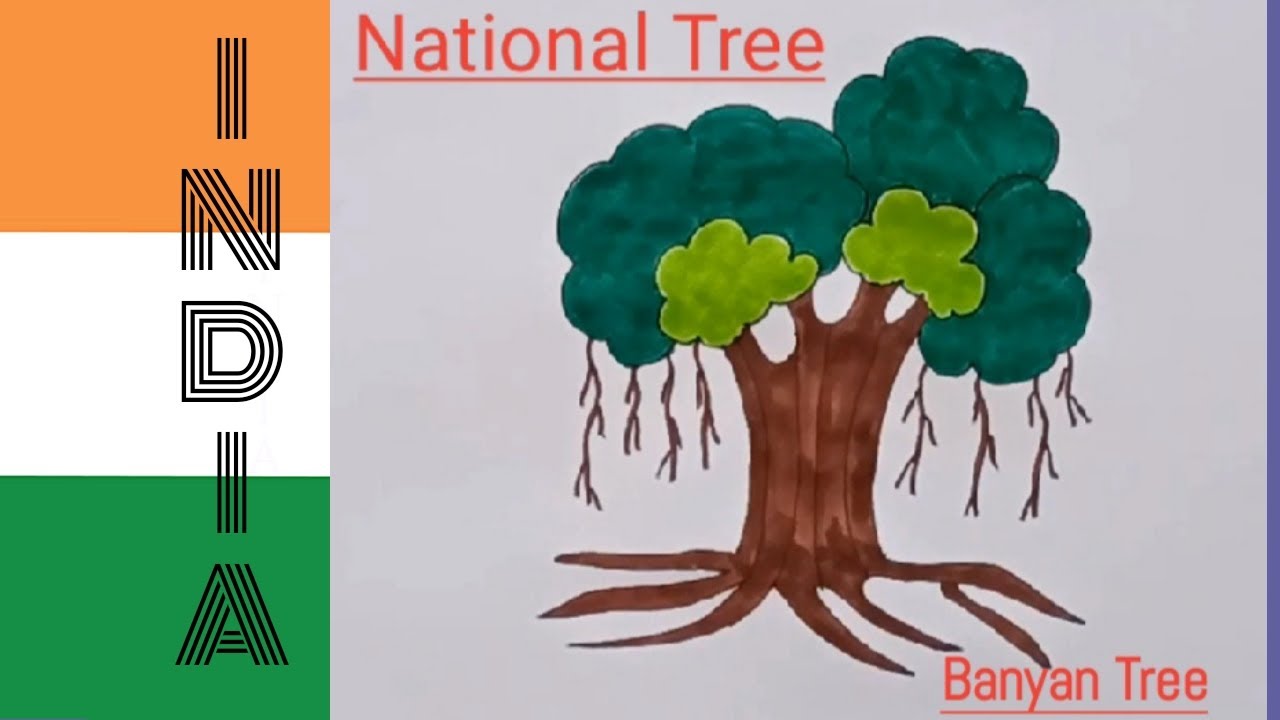 National Symbols of India Drawings/National Tree/Banyan Tree# ...