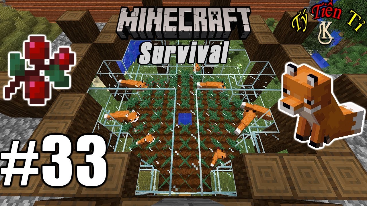 Minecraft Survival 1.14 #33 Cáo Farm Quả Mộng Ngot - Farm Sweet Berries ...