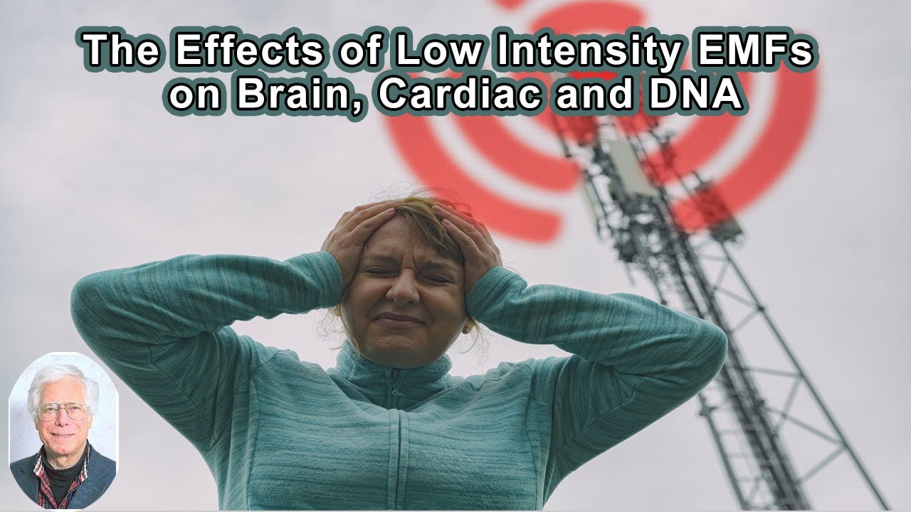 Low Intensity EMFs Produce 5 Distinct Brain Effects; Cardiac, DNA ...