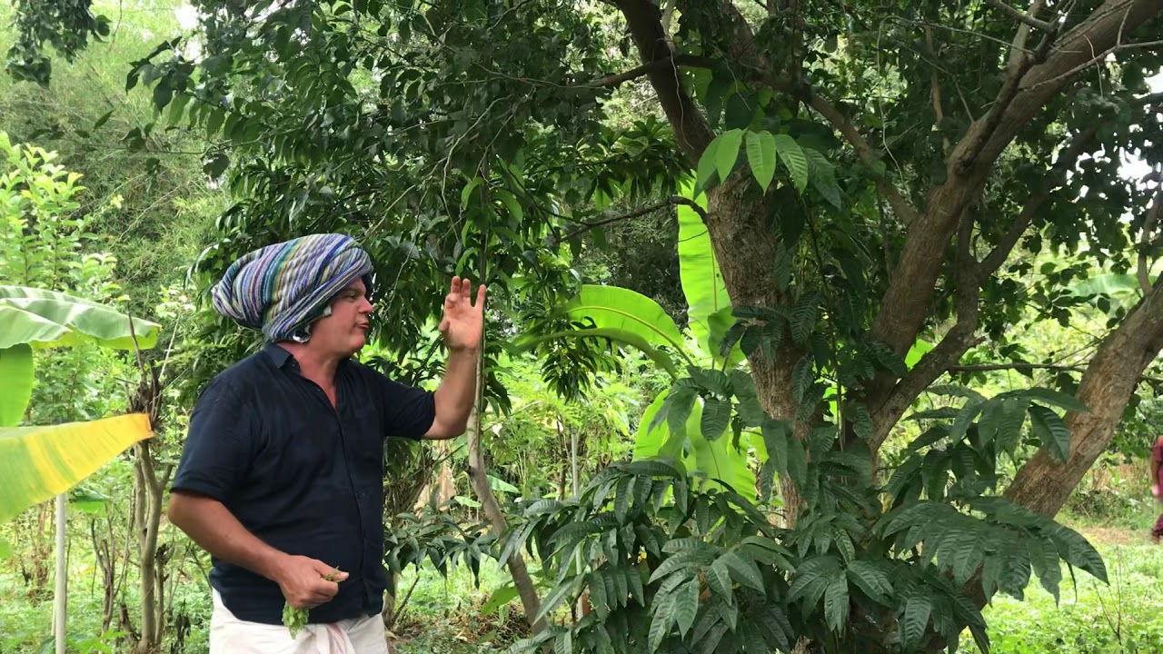 Solitude Farm, Auroville, Tamil Nadu, India - guided tour by Krishna ...