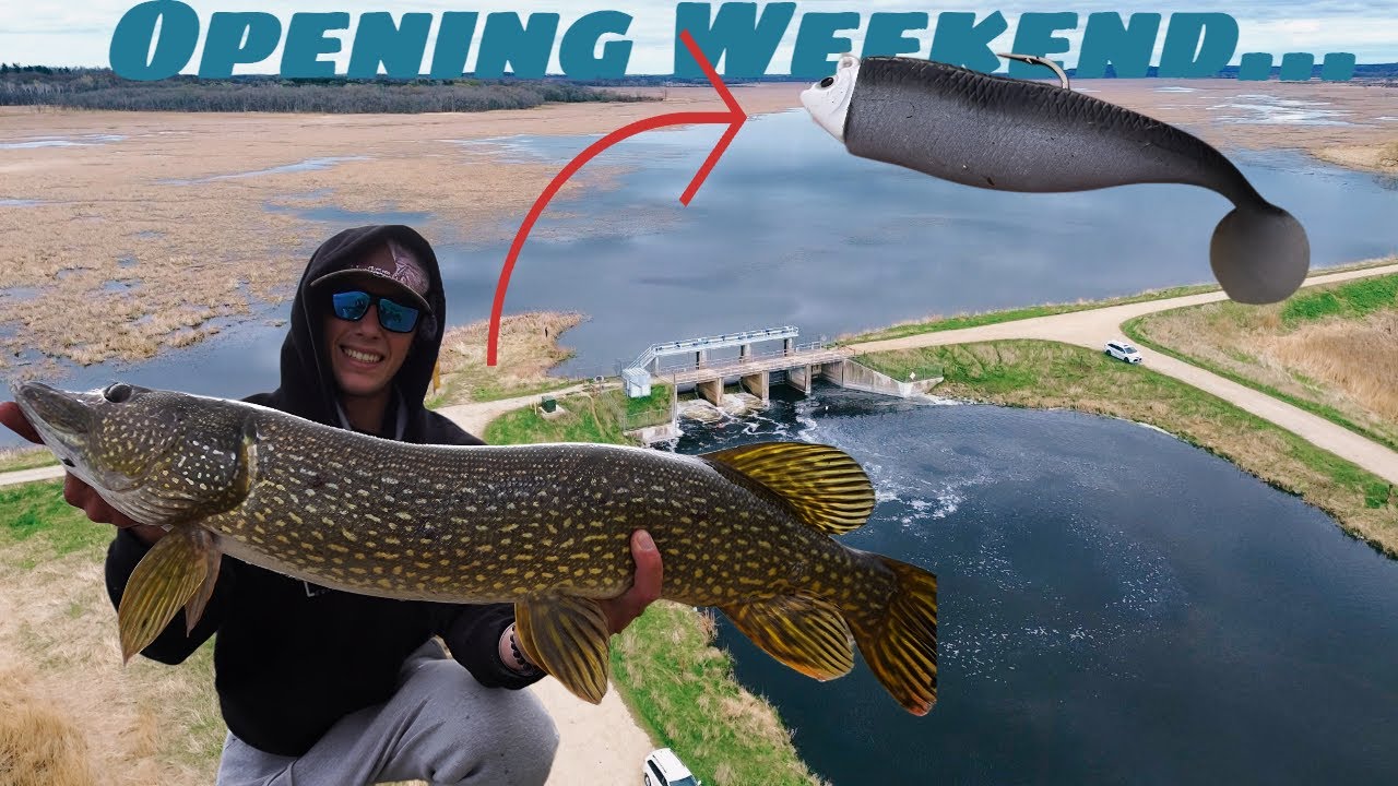 GIANT Fish live in this *Flooded* MARSH - YouTube