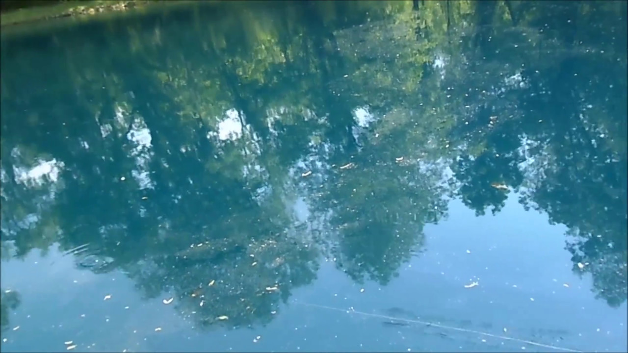 Small Pond Bass Fishing - YouTube