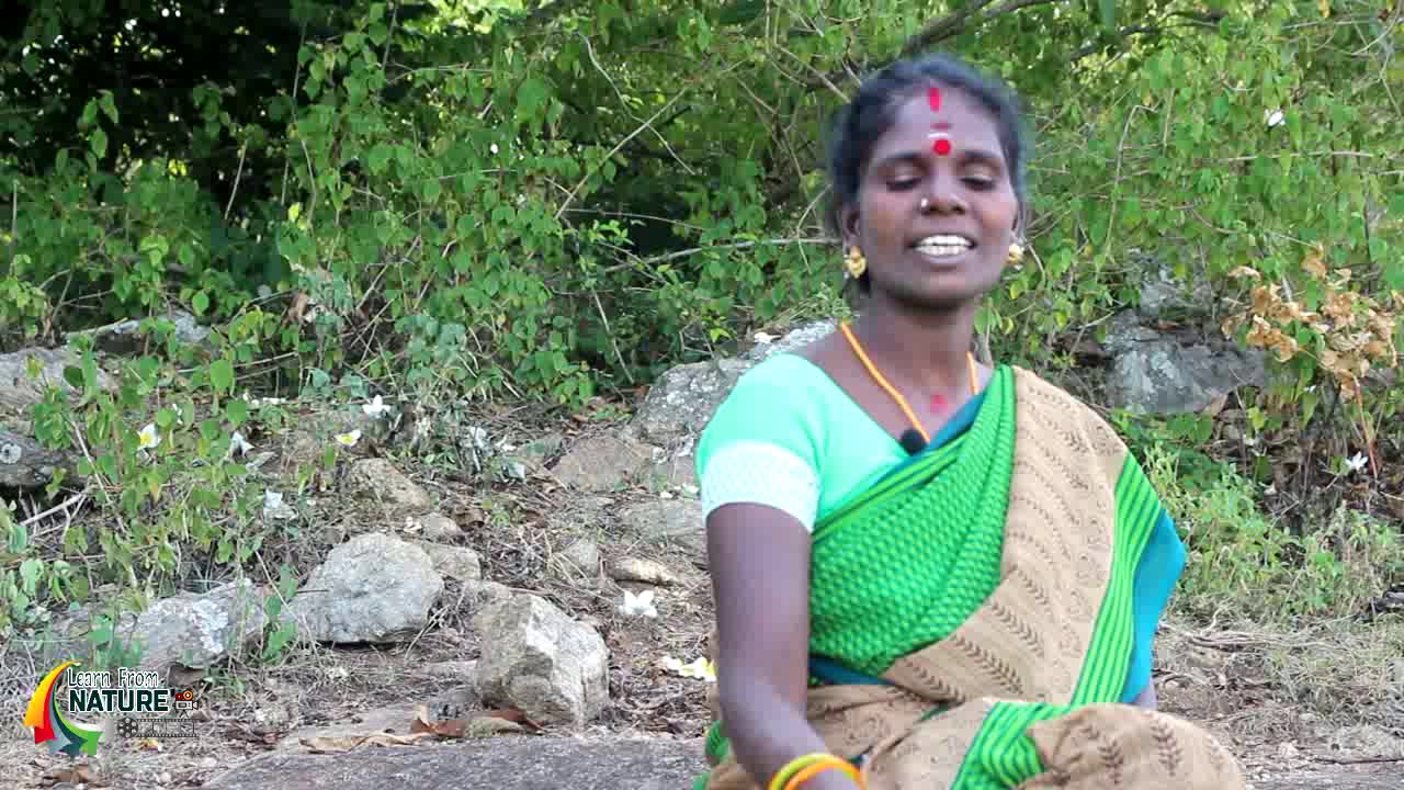 Paliyar Tribes - Identifying Water & Sharing with Wildlife - YouTube