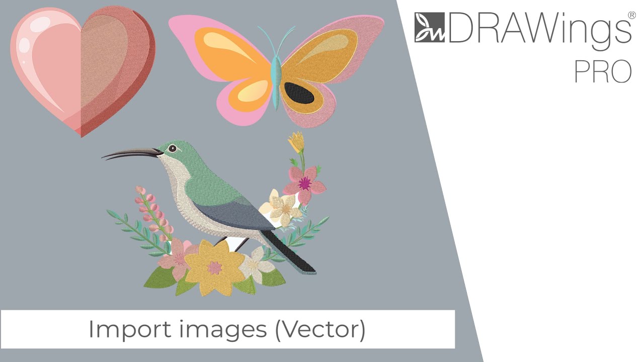 How to Import and Convert Vector Graphics for Embroidery - YouTube