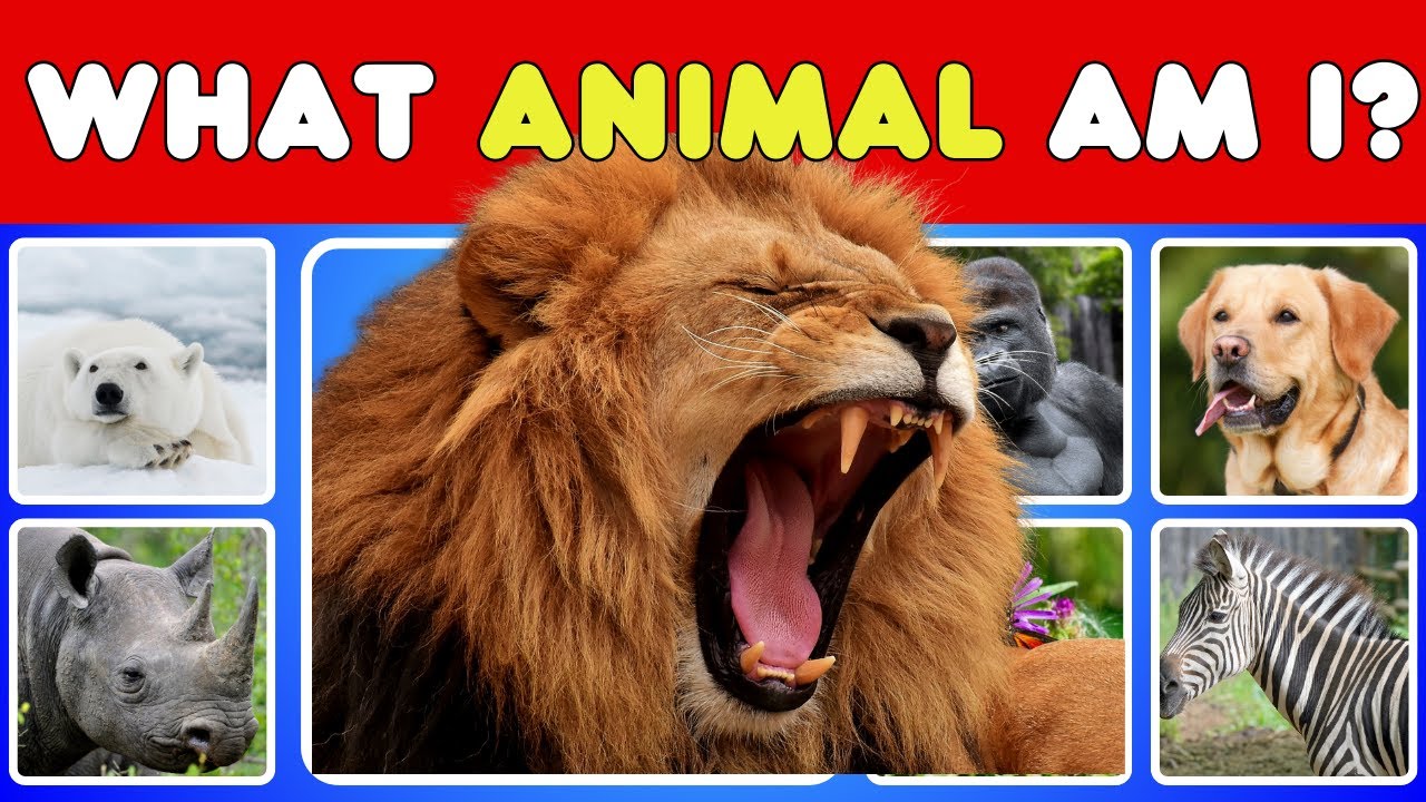 GUESS 100 ANIMALS 🐒🐔🐧 Easy level to Hard | Quiz Jaq - YouTube