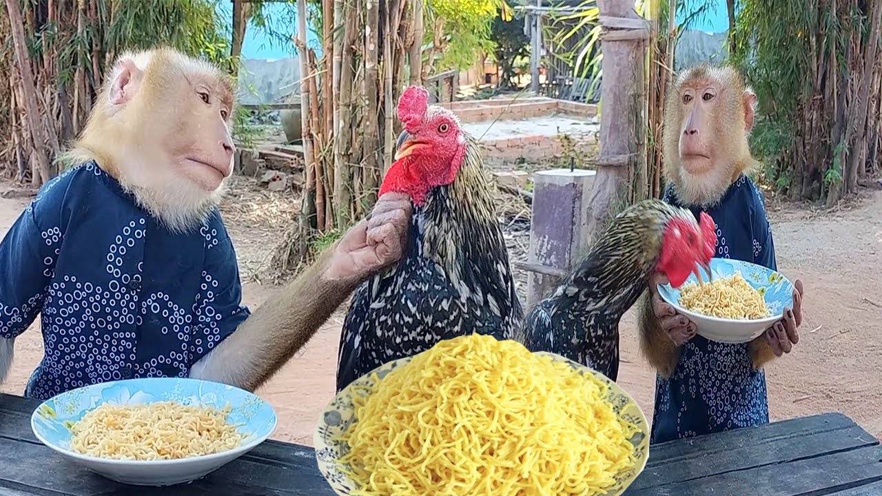 Smart SokYaa Feeding ToTo Eating Yellow Noodles - YouTube