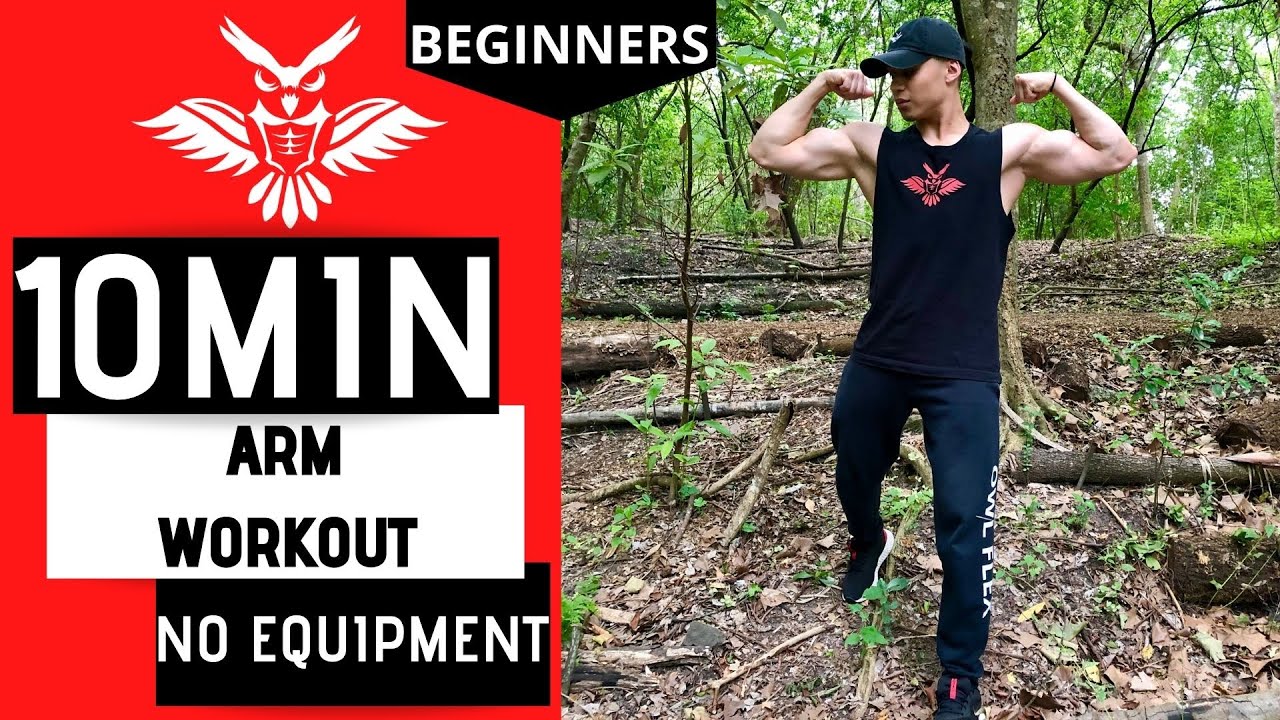 Arm Workout at Home for BEGINNERS - 10 MIN (NO EQUIPMENT) - YouTube