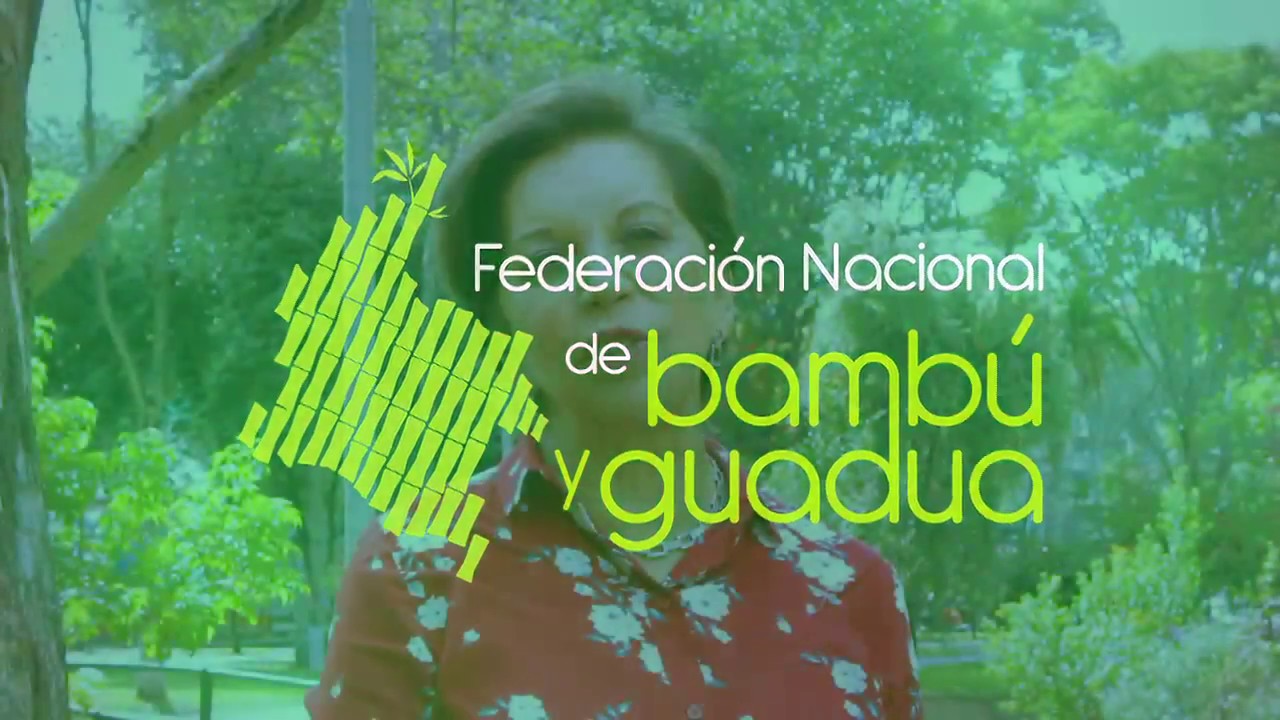 Dra Olga Forero - 2019 El Año De La Guadua En Colombia - Pital, Huila ...