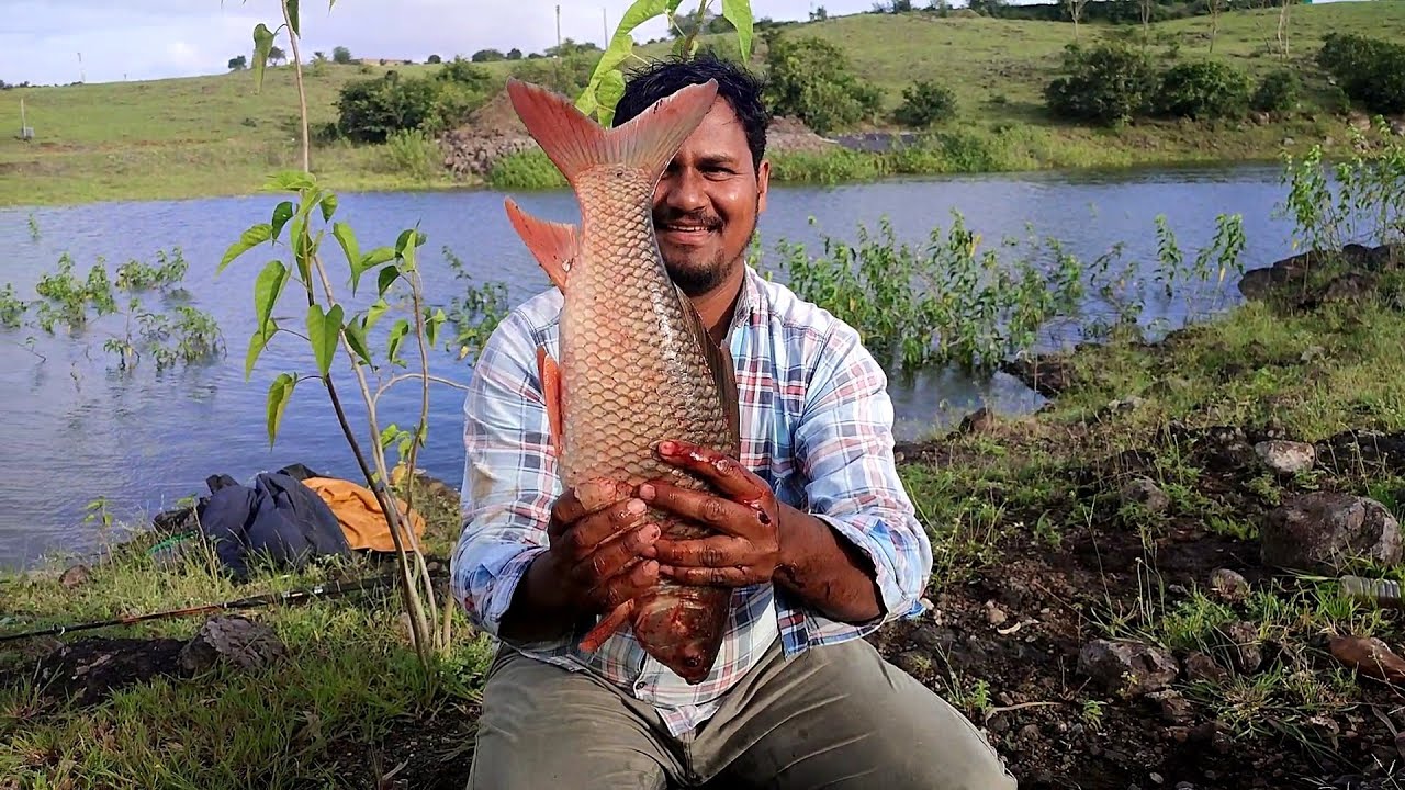 rohu machile ka shikar रोहू मासा पकडण्याची बाइट Amazing video - YouTube