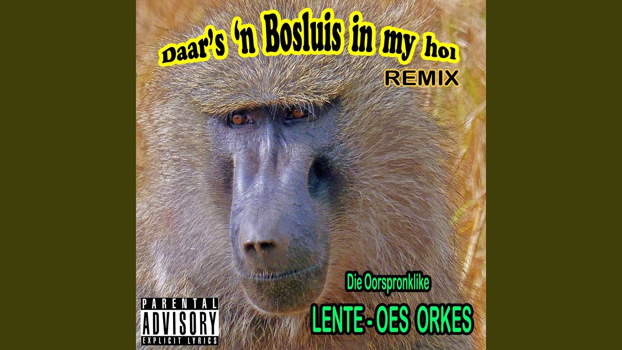 Daars 'n Bosluis In My Hol (Remix) - YouTube
