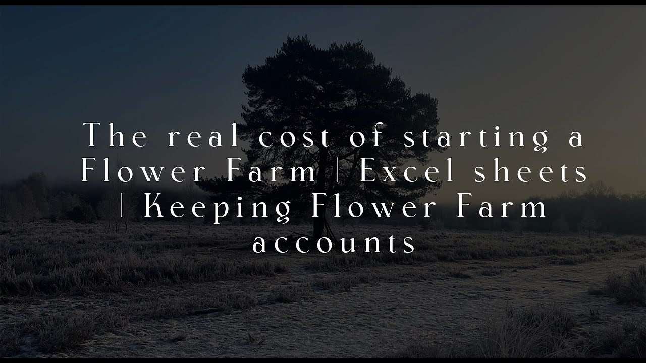 The real cost of starting a Flower Farm | Excel sheets | Keeping Flower ...