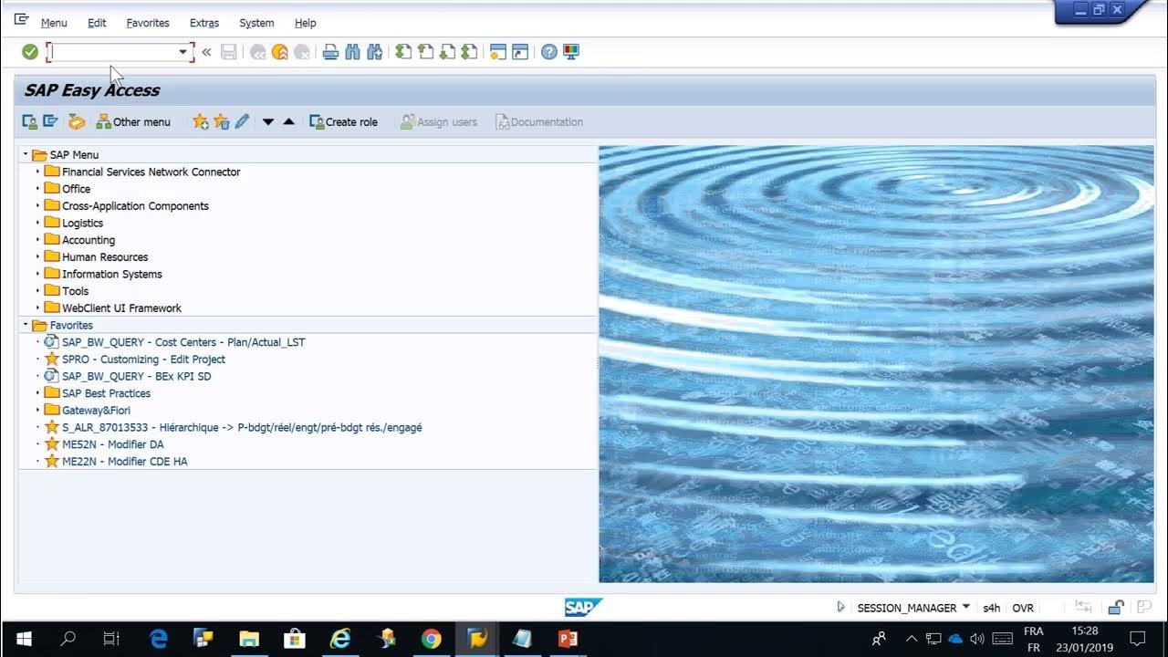 GUIDE SAP S4H Assign transaction code to SAP Query created via SQ01 - YouTube