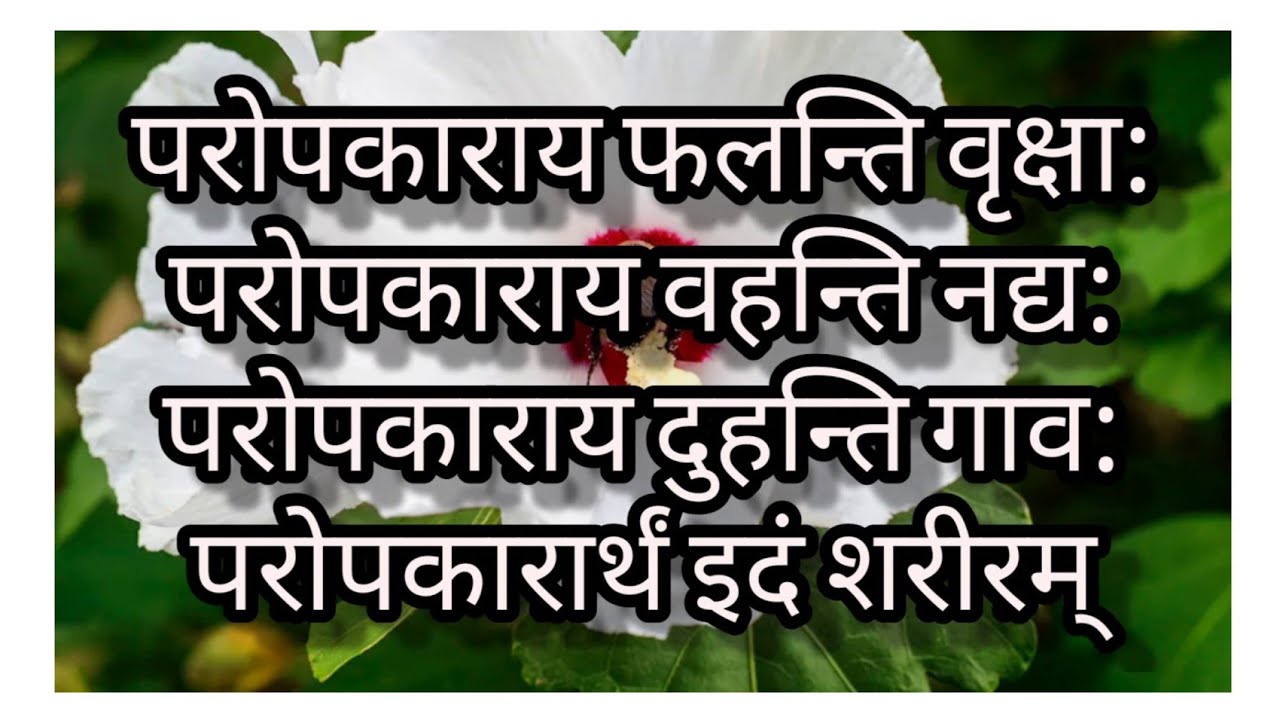 paropkar - shlok परोपकाराय फलन्ति वृक्षा: । श्लोक का हिंदी अनुवाद व ...