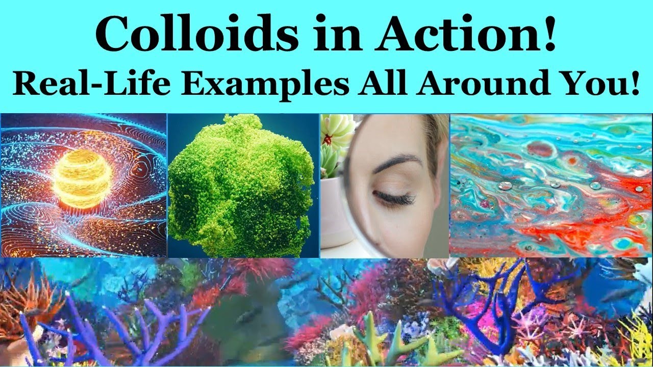 COLLOIDS II Real Life Examples of COLLOIDS around us II Chemistry - YouTube