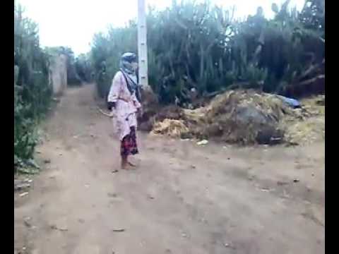 Mdarba