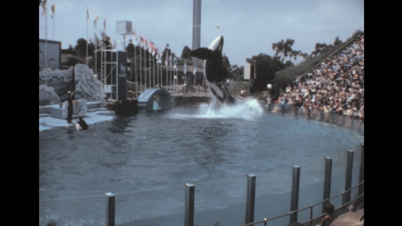 San Diego (SeaWorld) 1982 archive footage - YouTube